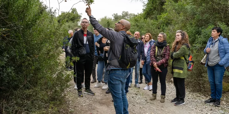 Isula 2024: Un Viaggio Esperienziale tra Cultura e Tradizioni Sarde